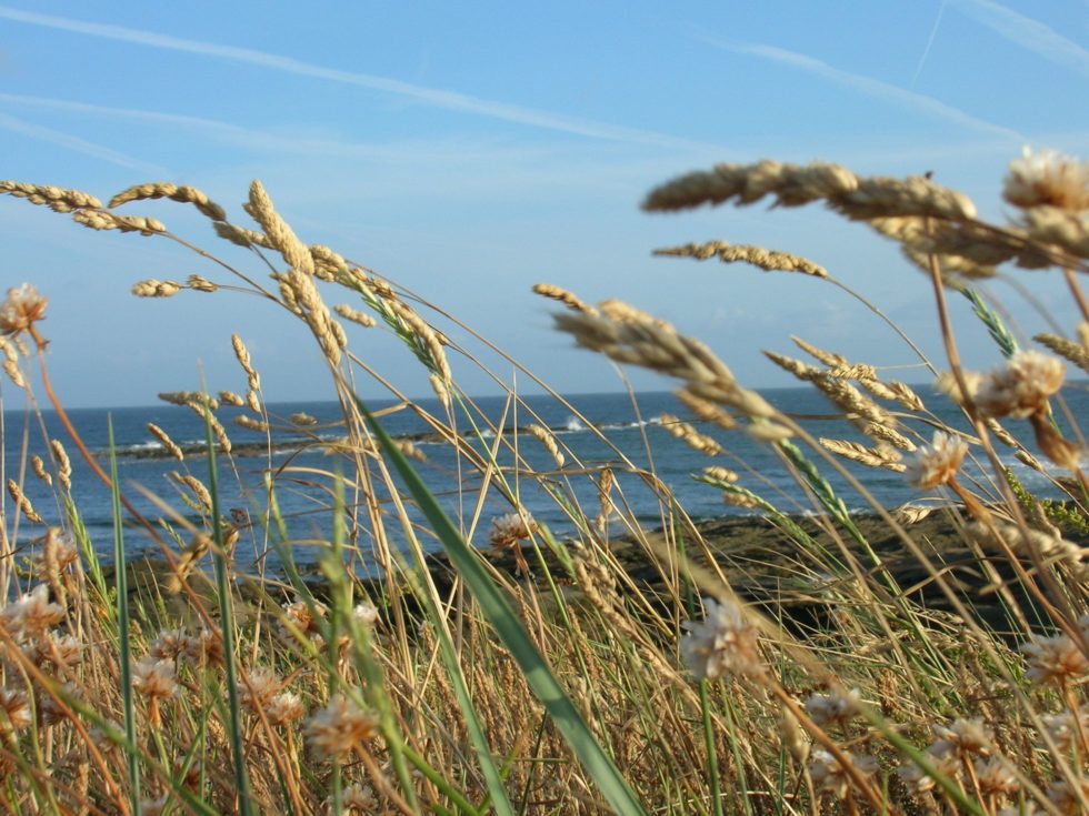 Against the Grain | Preach The Story